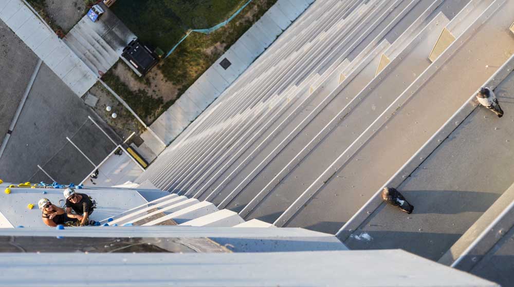 The Tallest Climbing Walls in the World - Walltopia Stories