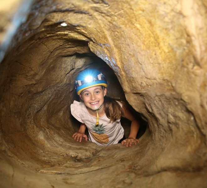 Inventing Active Entertainment: The New Hype in the Amusement Industry ...